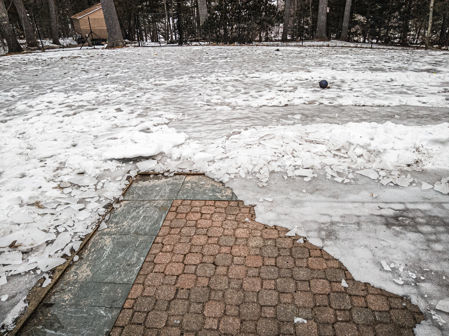 The Deadly Cost of Unplowed Sidewalks in Winter — Streetsblog USA