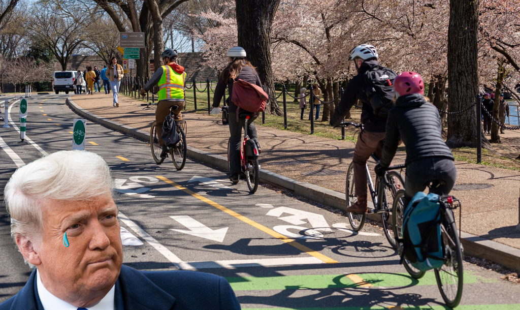 Judge Blocks Trump Admin's Attempt to Demolish D.C. Bike Lane ...